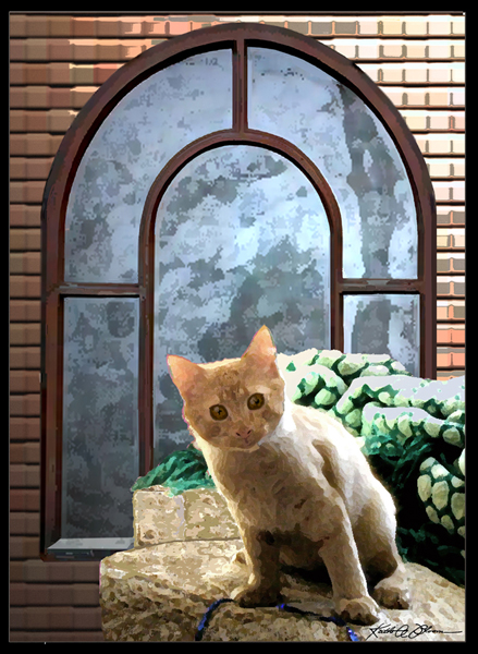 Figure/Photography | Katherine Bloom