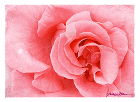 Katherine Bloom | Creative Arts