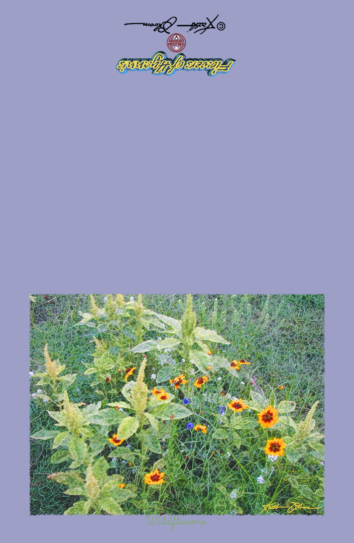 Katherine Bloom | Creative Arts